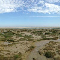 Wat te doen op Ameland? 15x uitjes en bezienswaardigheden op Ameland